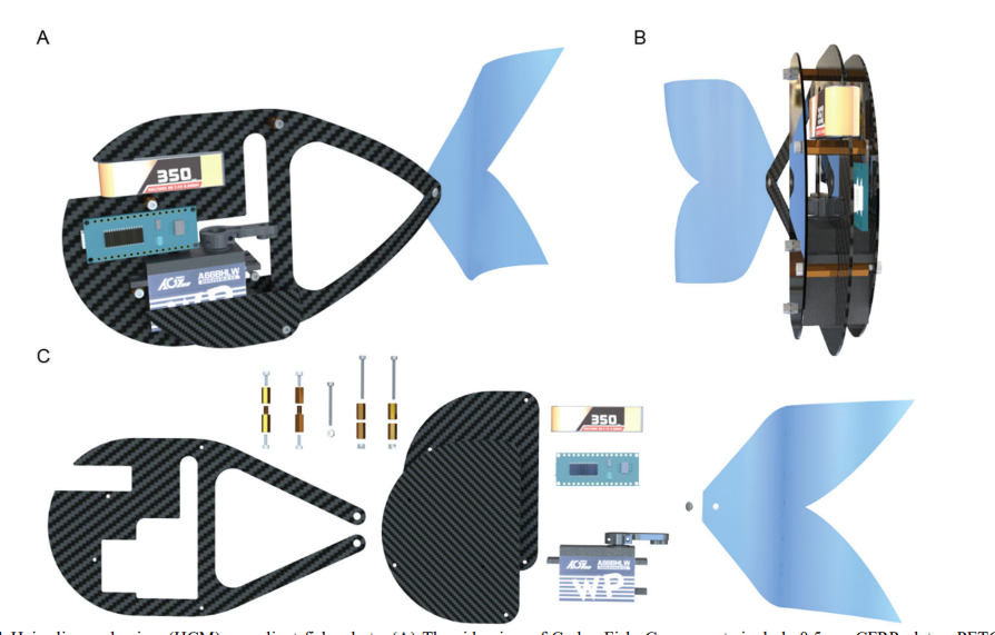 Bistable Compliant Fish Robot | Jialong Ning