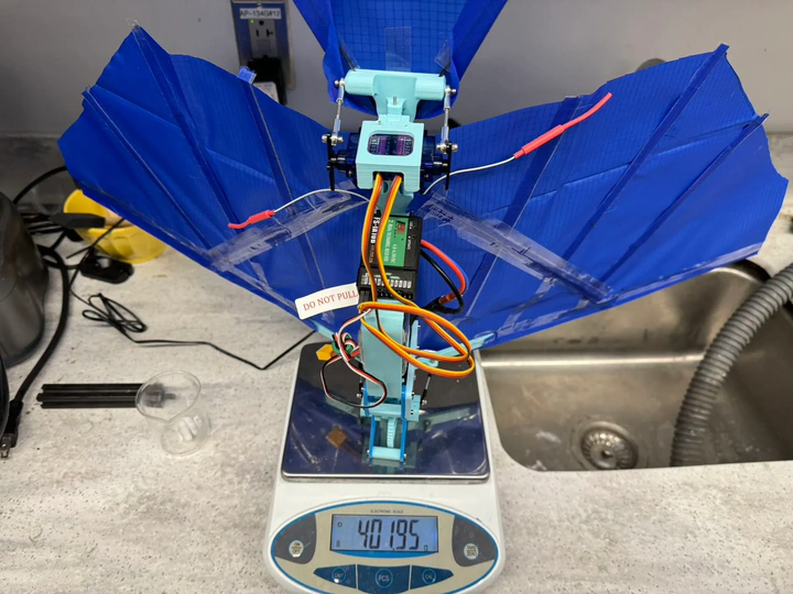 Ornithopter | Jialong Ning